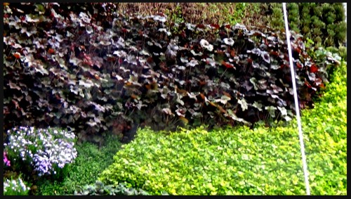 Prudential Plant Wall Mural and Military Park | IngPeaceProject.com