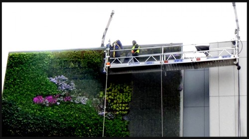 Prudential Plant Wall Mural and Military Park | IngPeaceProject.com