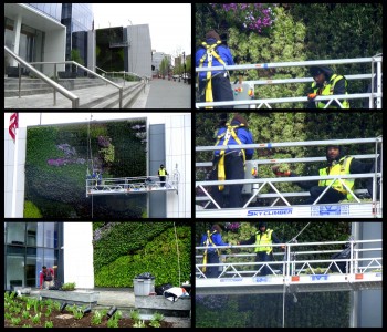 Prudential Plant Wall Mural and Military Park | IngPeaceProject.com