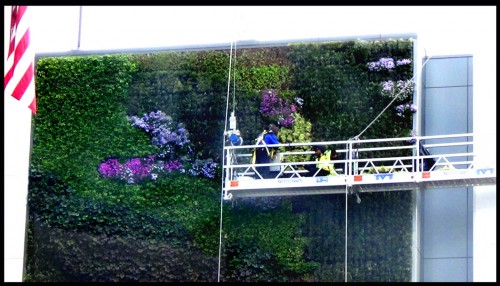 Prudential Plant Wall Mural and Military Park | IngPeaceProject.com