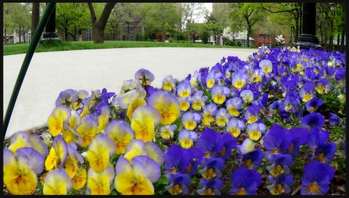 Prudential Plant Wall Mural and Military Park | IngPeaceProject.com