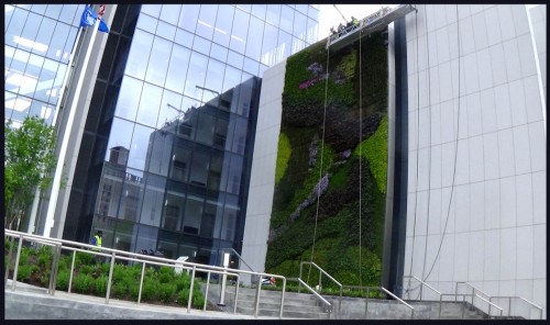 Prudential Plant Wall Mural and Military Park | IngPeaceProject.com