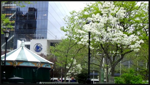 Prudential Plant Wall Mural and Military Park | IngPeaceProject.com