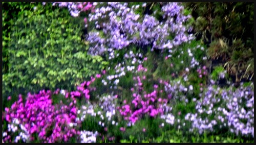 Prudential Plant Wall Mural and Military Park | IngPeaceProject.com