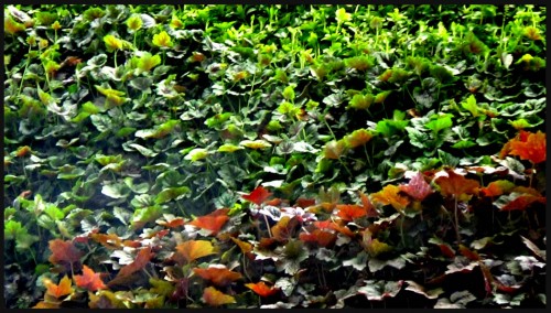 Prudential Plant Wall Mural and Military Park | IngPeaceProject.com